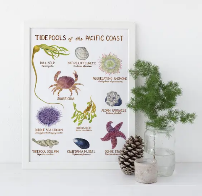 11” x 14” Oregon State Symbols Art Print | oceanography 101